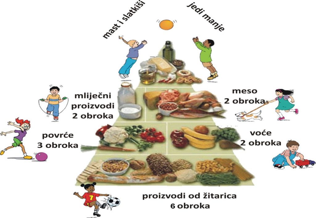 Piramida pravilne prehrane | Školica pravilne prehrane